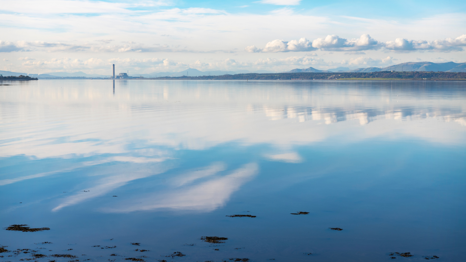 Restoration Forth - Scottish Marine Environmental Enhancement Fund