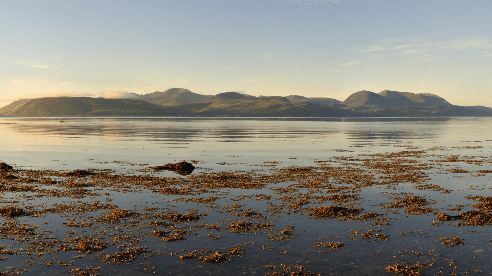 Community of Arran Seabed Trust - Scottish Marine Environmental ...