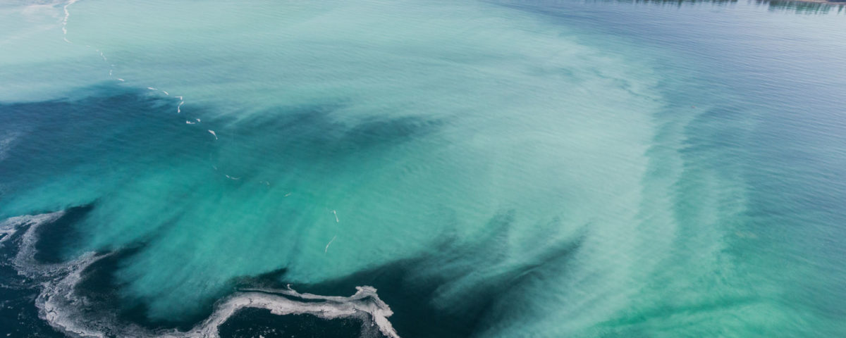 WOSHH-eDNA-Sound / West Coast - Scottish Marine Environmental ...