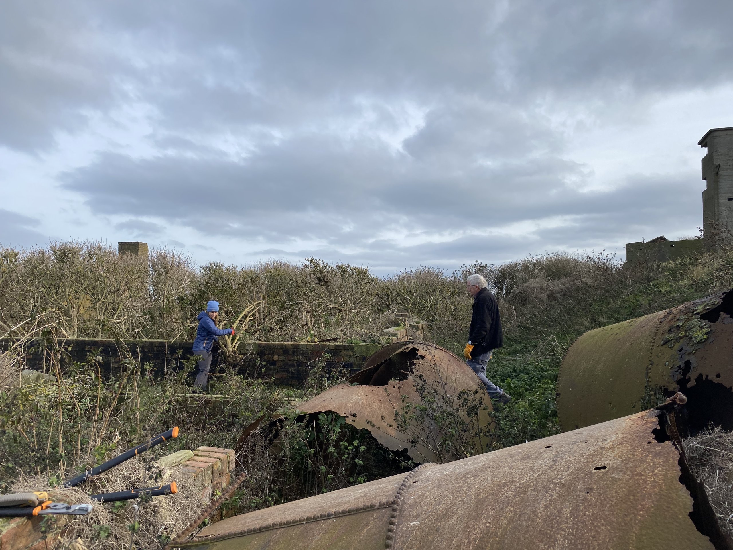 Managing Coastal Invasives / Inner Clyde Reserve - Scottish Marine ...