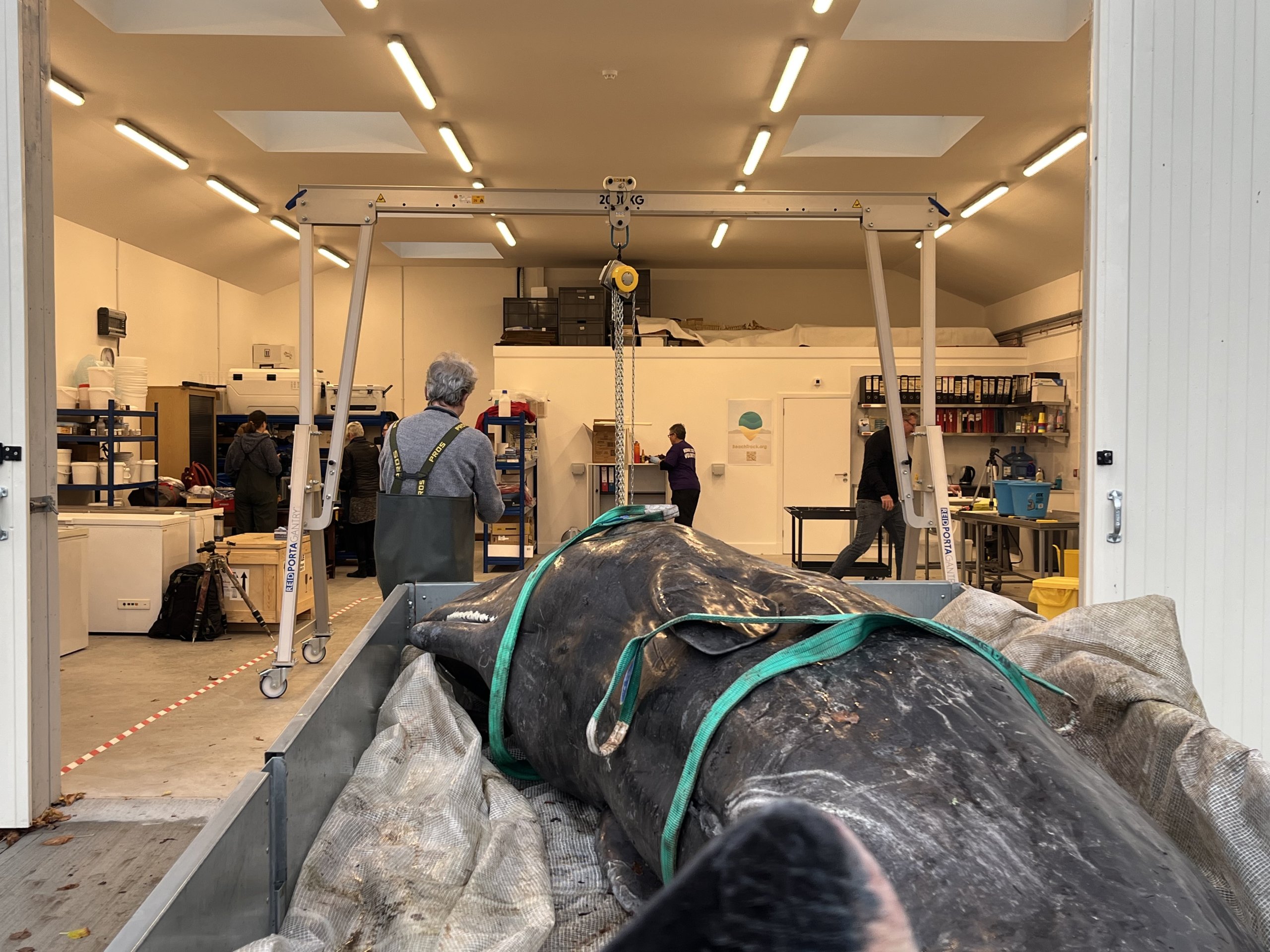 SMASS – Northern Hub, Beach track & More - Scottish Marine ...