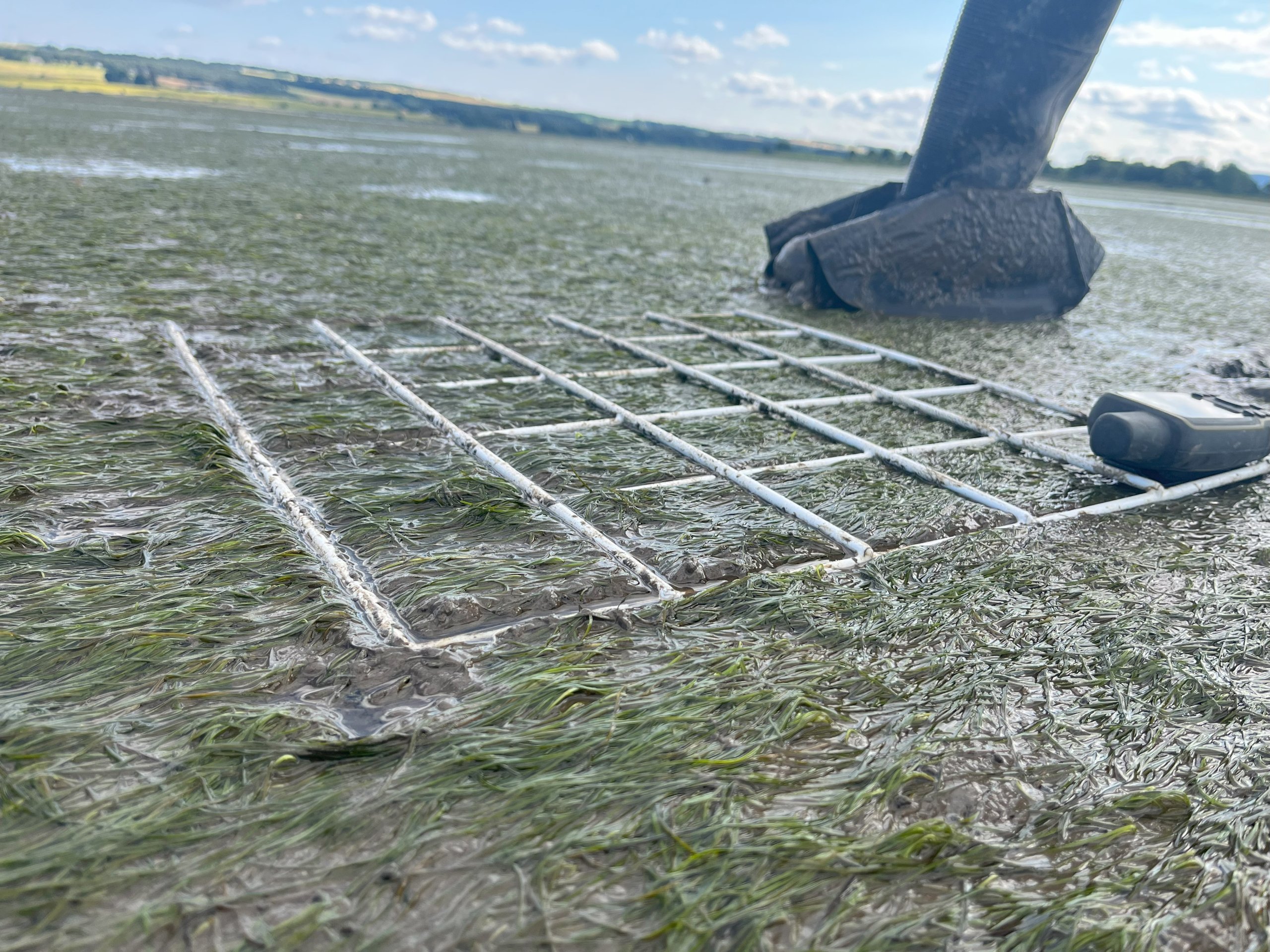 Kintyre Coastal Network East Kintyre Biosphere Project - Scottish ...
